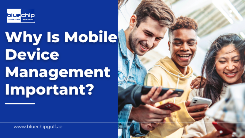 Why Is Mobile Device Management (MDM) Important?